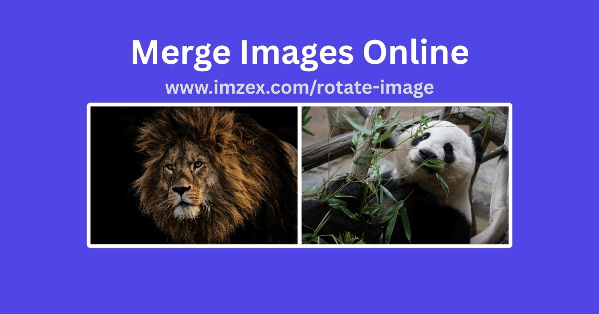 Merge Images Online - IMZEX | Combine Photos Easily